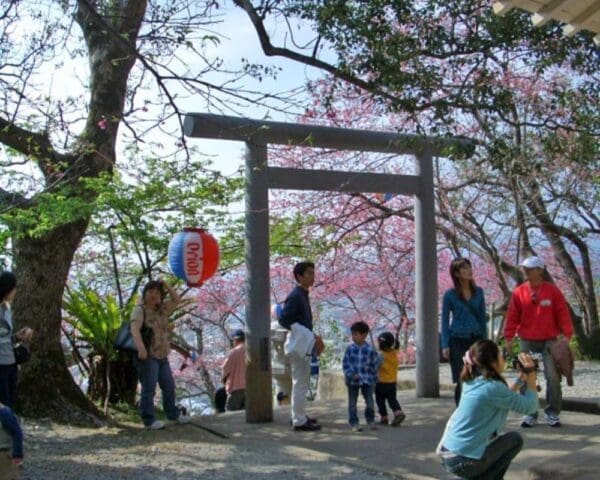 24 incredible Cherry Blossom Festivals in Japan | Japan Insider
