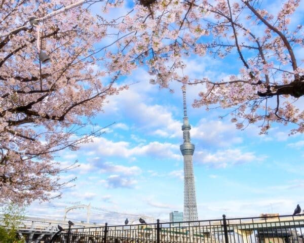 Is May a good time to travel to Japan? Here's everything you need to ...